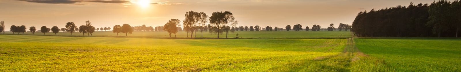 About TI-TRUST | Employee Benefits | Personal Trust | Farm Services